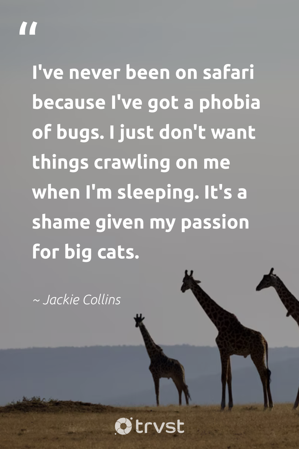 33 Bug Quotes for Insect Lovers and Buggy Life Moments (2024)