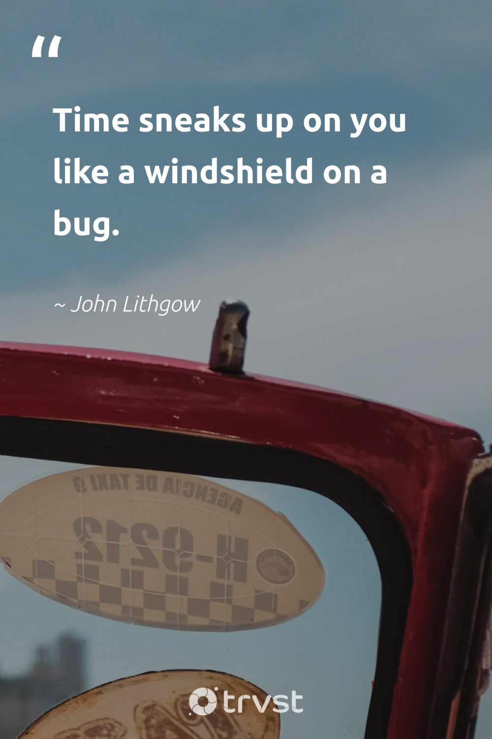 33 Bug Quotes for Insect Lovers and Buggy Life Moments (2025)