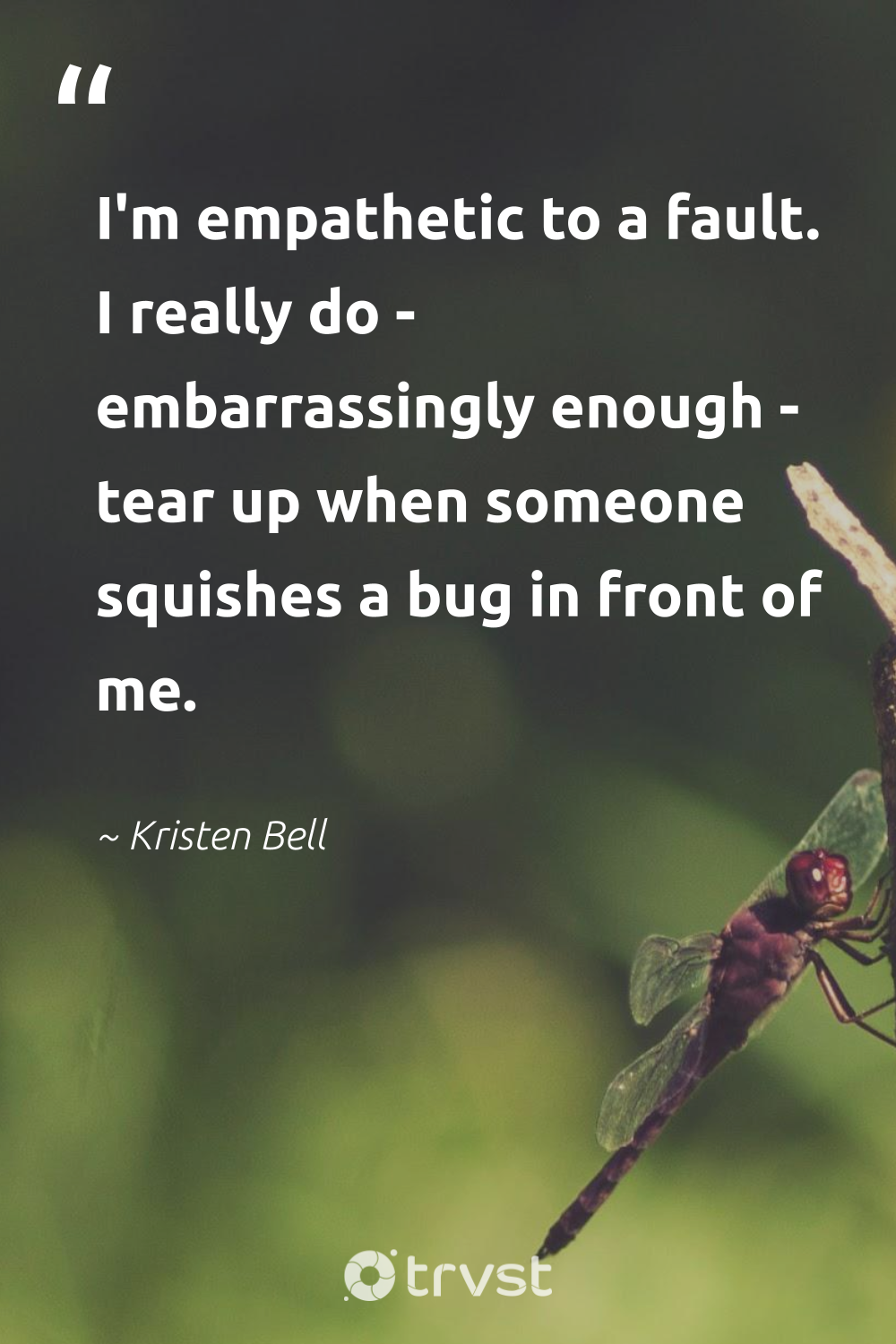 33 Bug Quotes for Insect Lovers and Buggy Life Moments (2025)