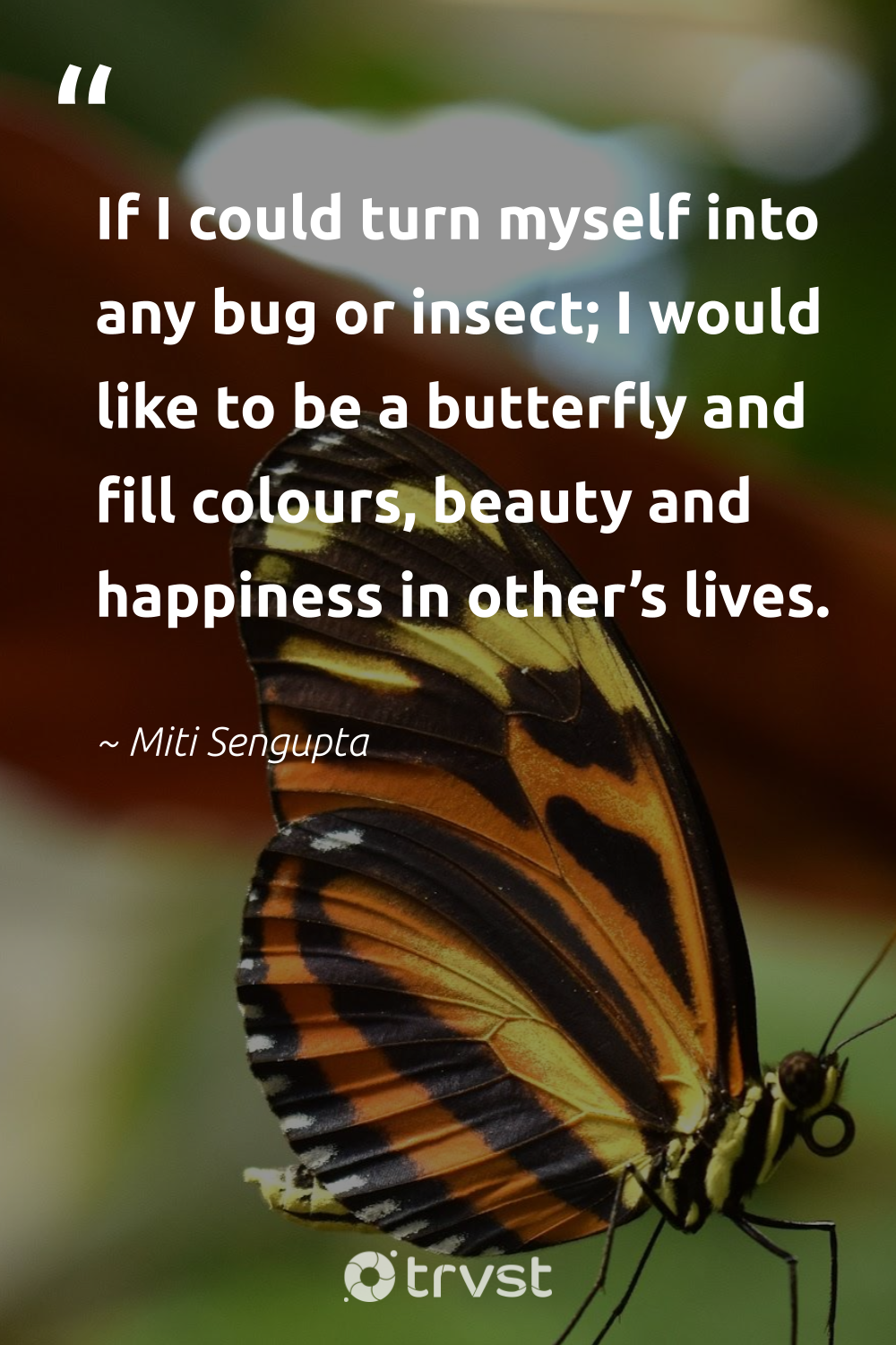 33 Bug Quotes for Insect Lovers and Buggy Life Moments (2025)
