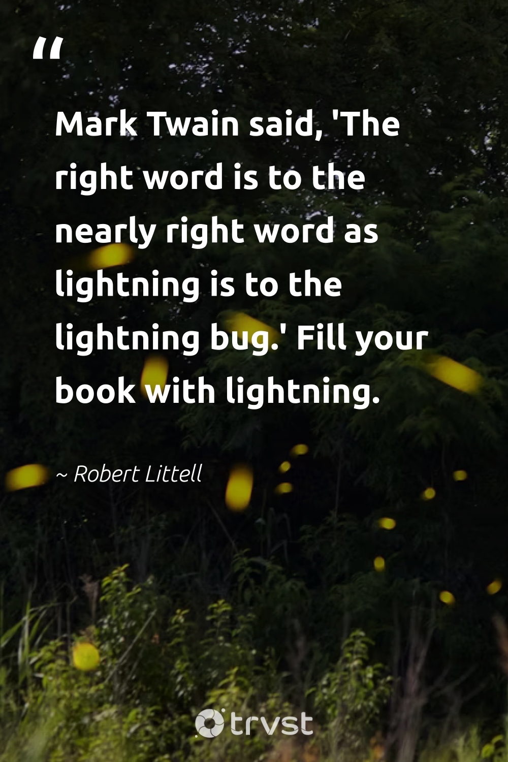 33 Bug Quotes for Insect Lovers and Buggy Life Moments (2025)