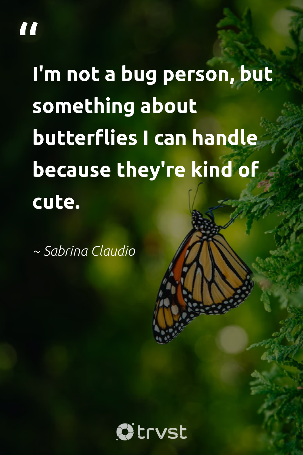 33 Bug Quotes for Insect Lovers and Buggy Life Moments (2025)