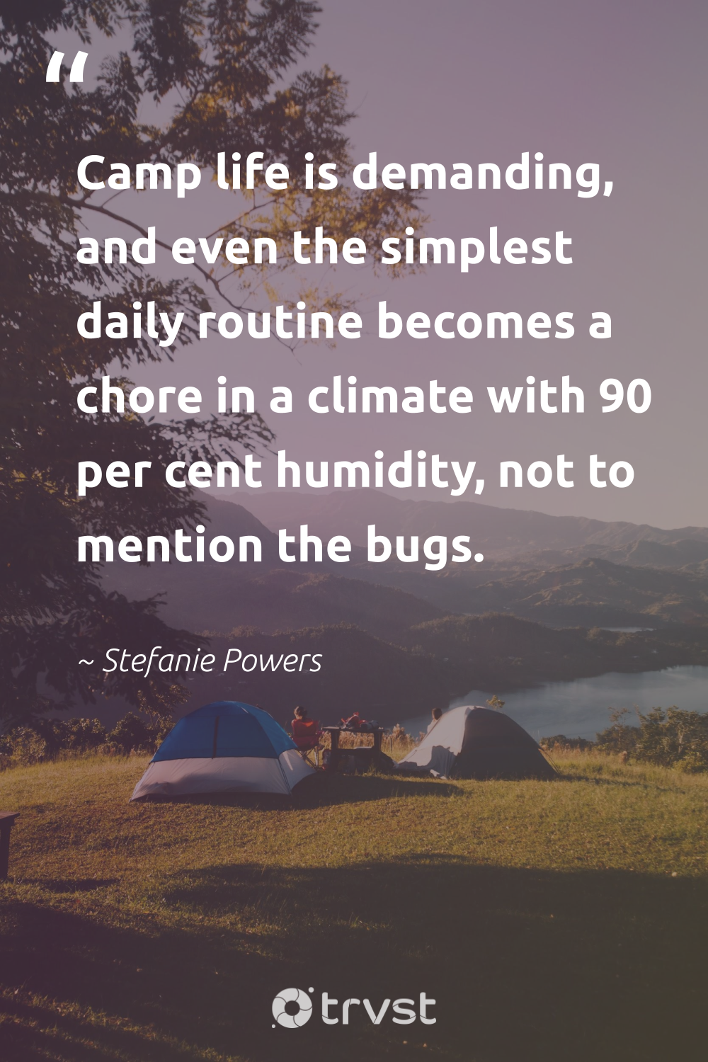 33 Bug Quotes for Insect Lovers and Buggy Life Moments (2025)