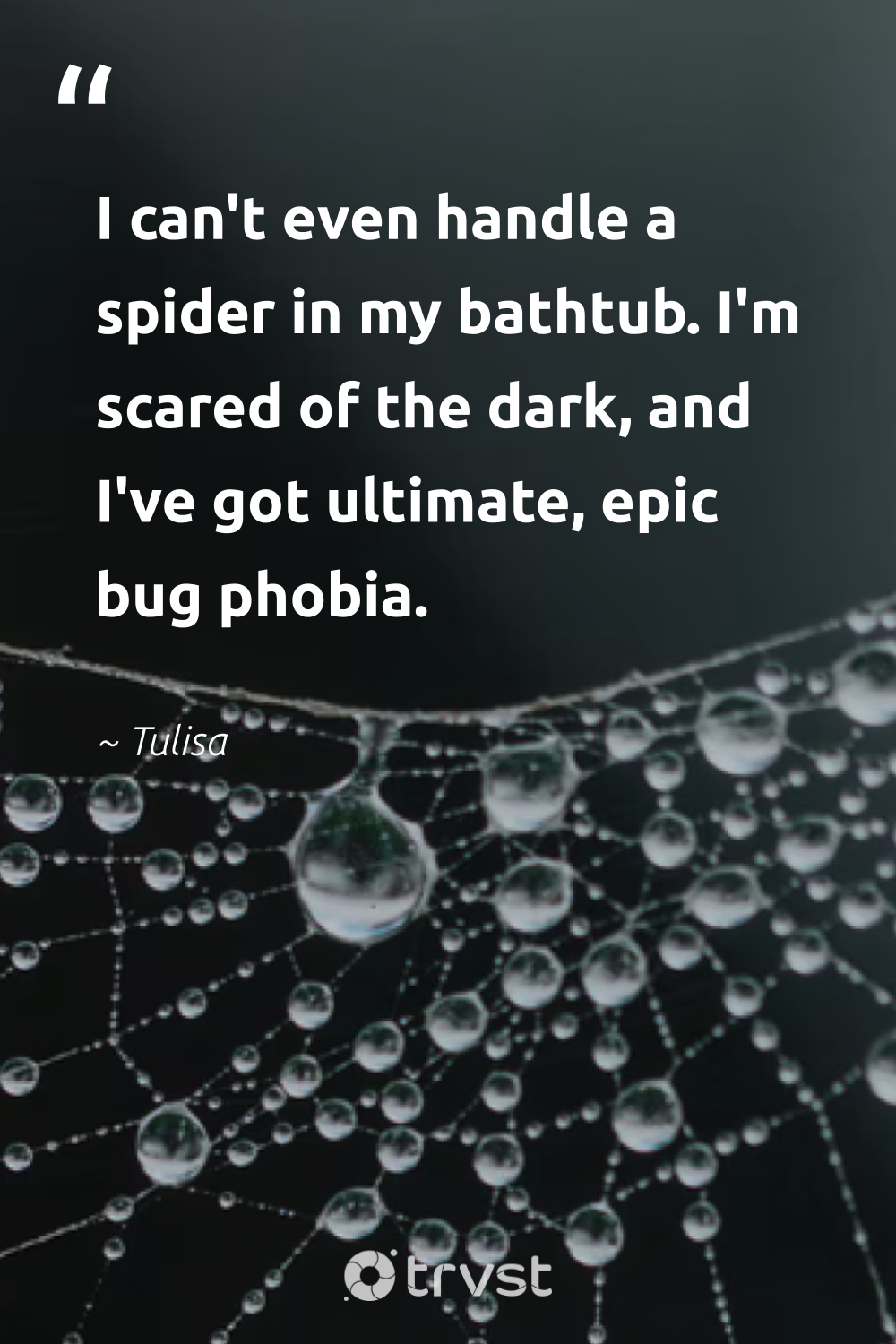 33 Bug Quotes for Insect Lovers and Buggy Life Moments (2024)