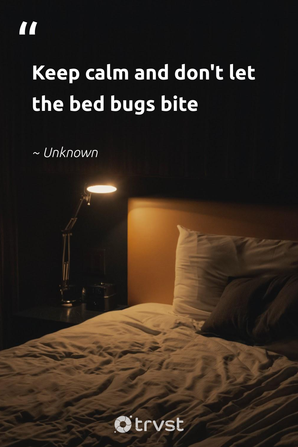 33 Bug Quotes for Insect Lovers and Buggy Life Moments (2025)