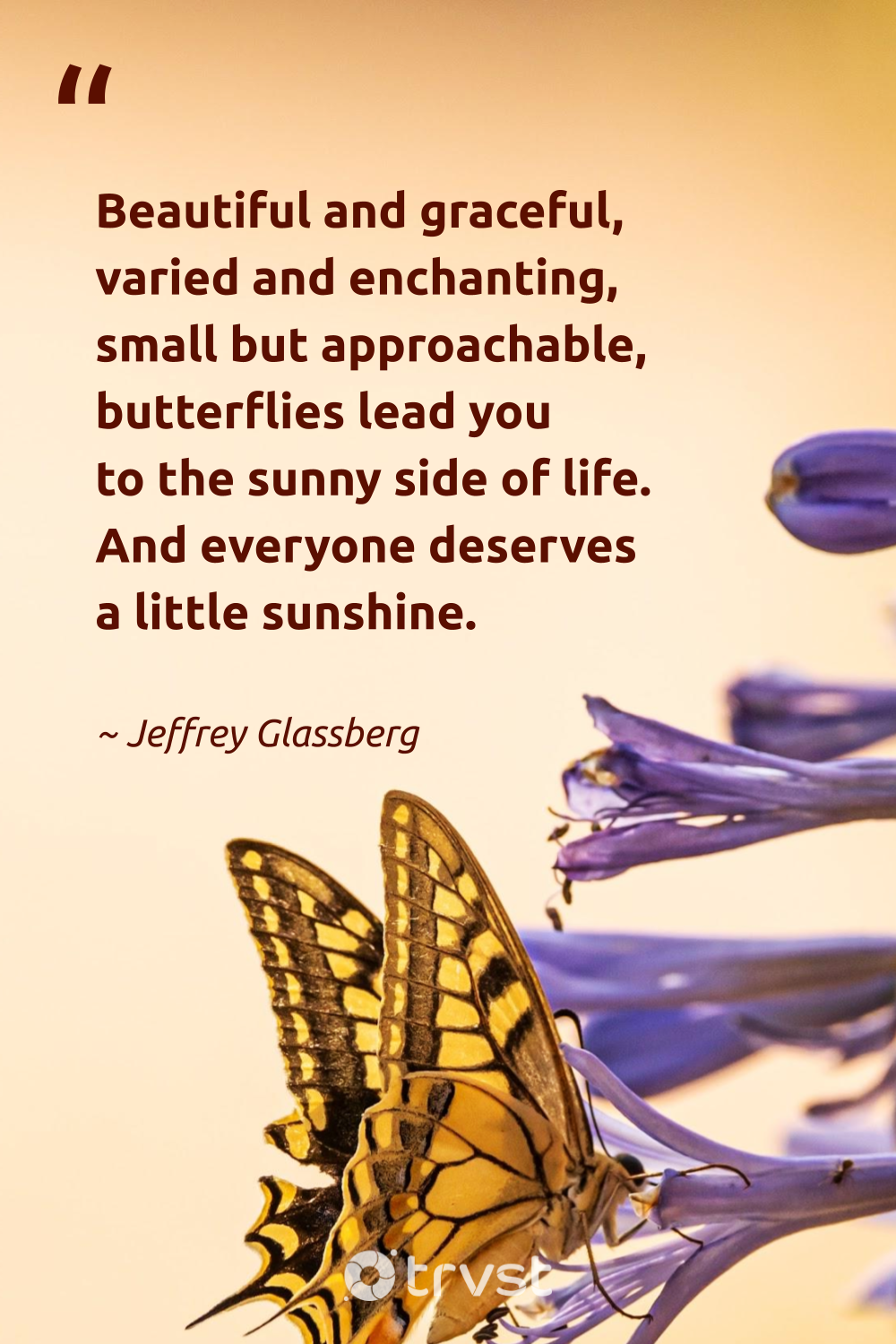 74 Beautiful Butterfly Quotes Inspiring Appreciation (2025)