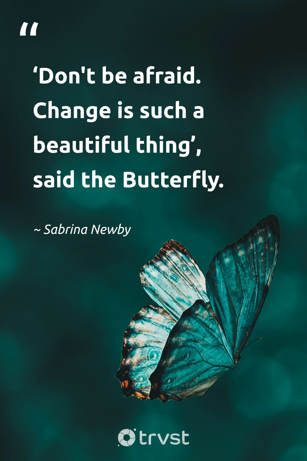 74 Beautiful Butterfly Quotes Inspiring Appreciation (2025)