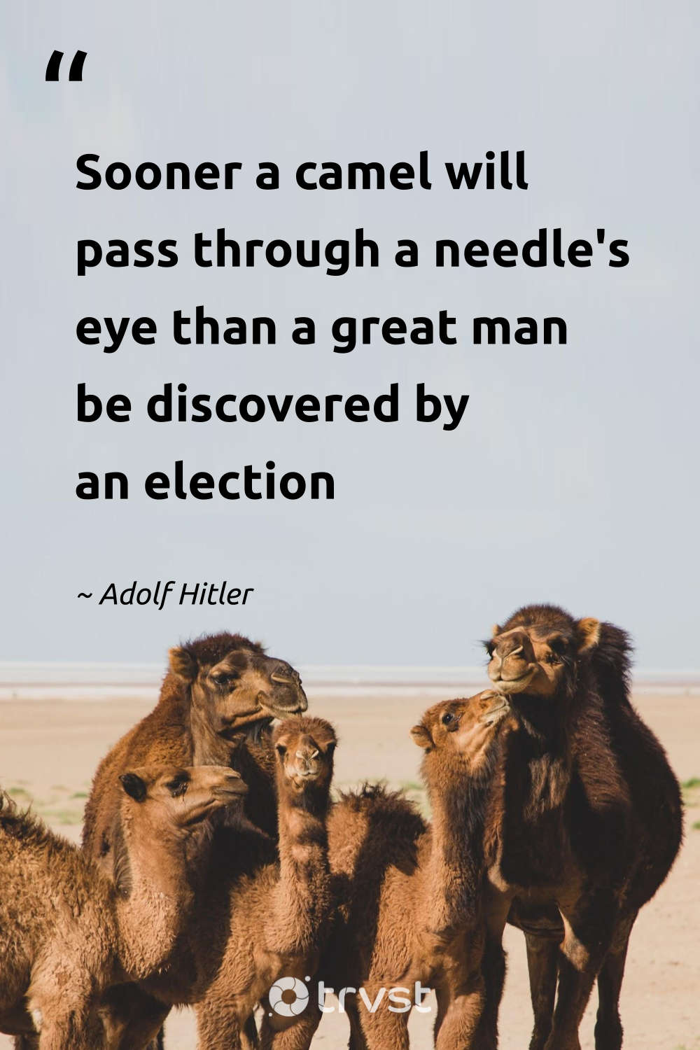 12 Camel Quotes About The Desert Companions