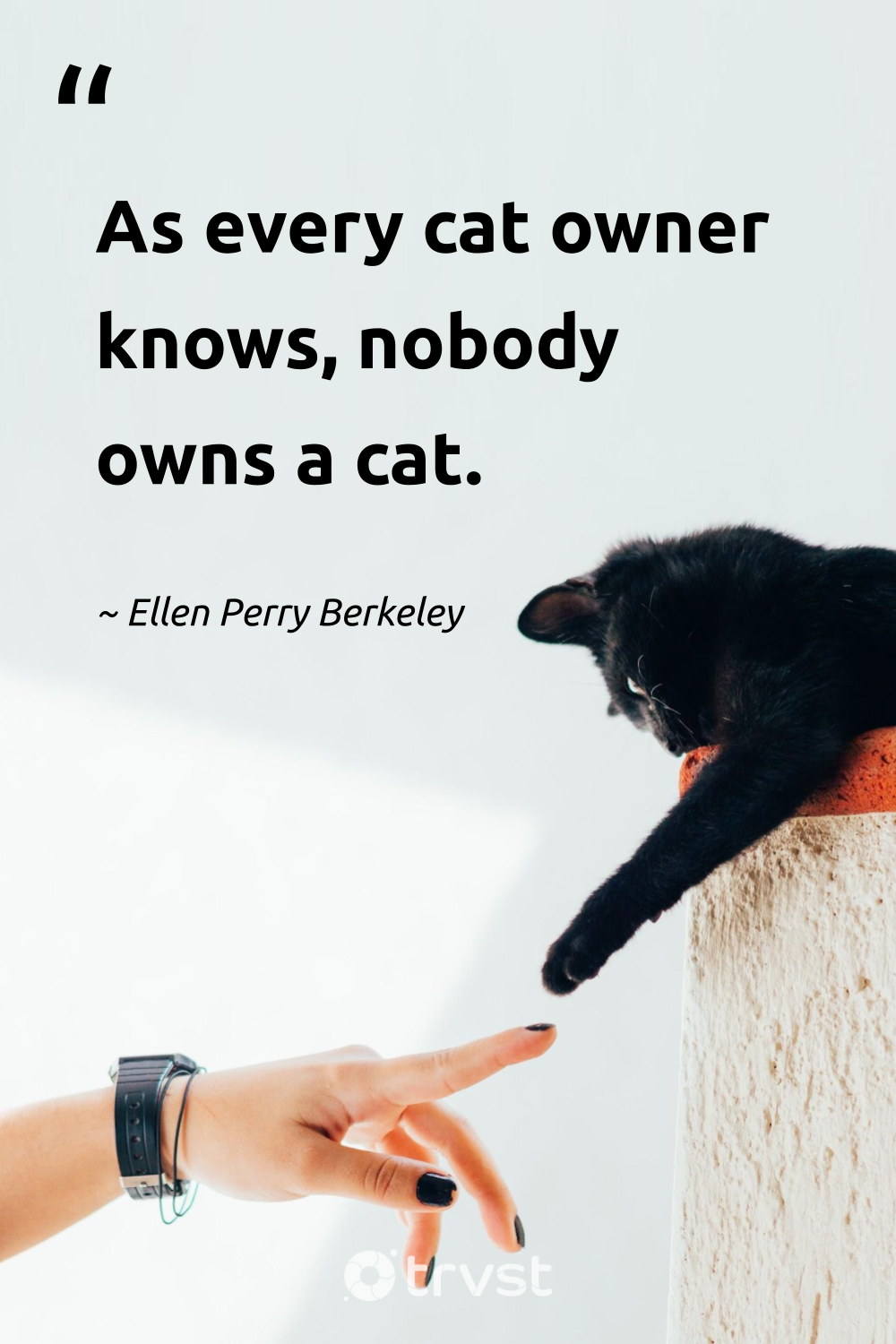 45 Cat Quotes to Purrfectly Inspire Every Feline Fan