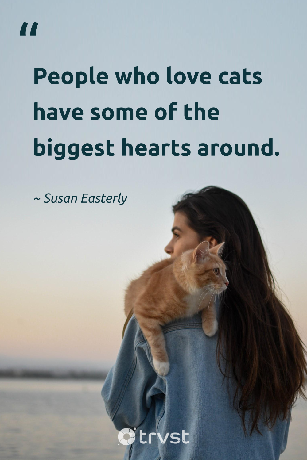 45 Cat Quotes to Purrfectly Inspire Every Feline Fan