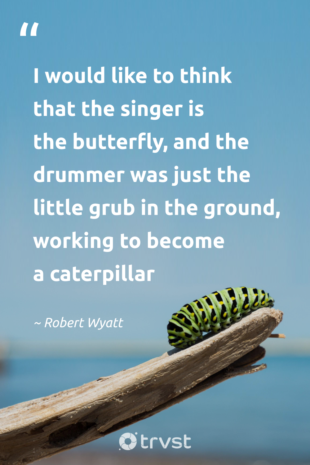 31 Caterpillar Quotes about Transformation And More (2024)