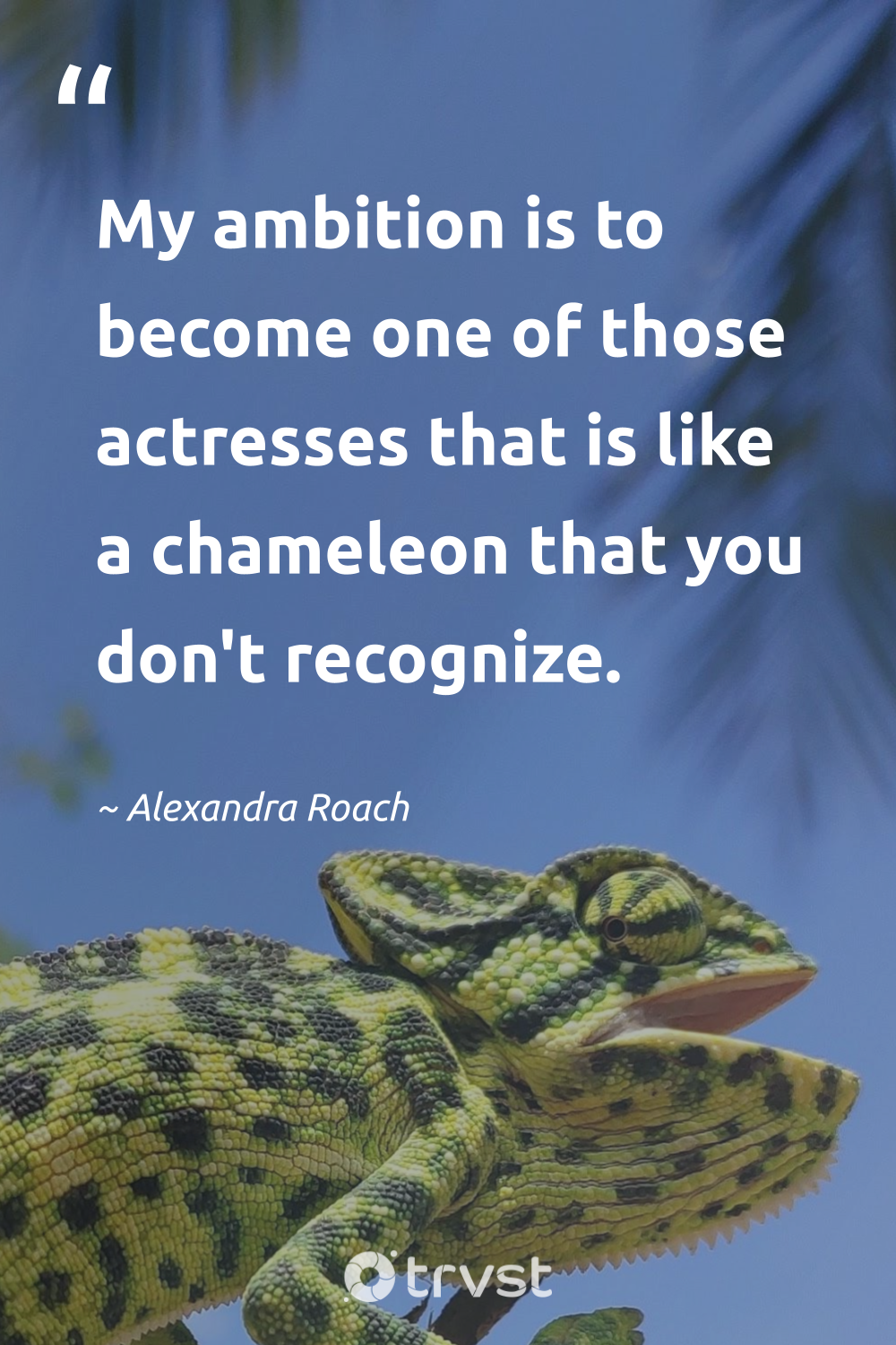 23 Chameleon Quotes Camouflaging Wisdom