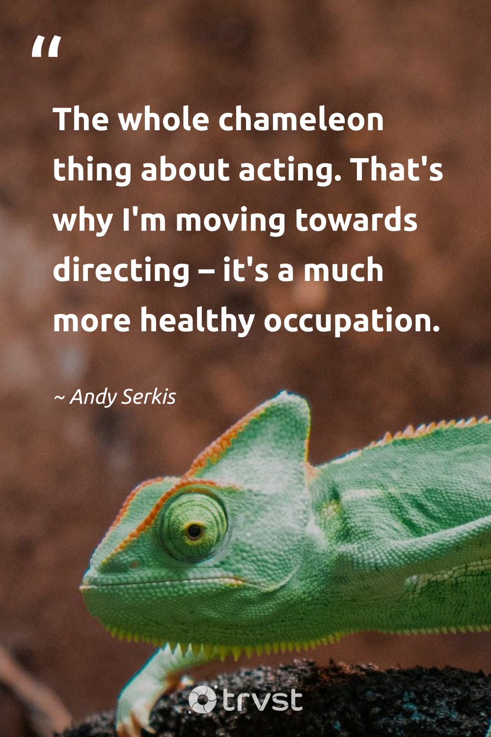 23 Chameleon Quotes Camouflaging Wisdom