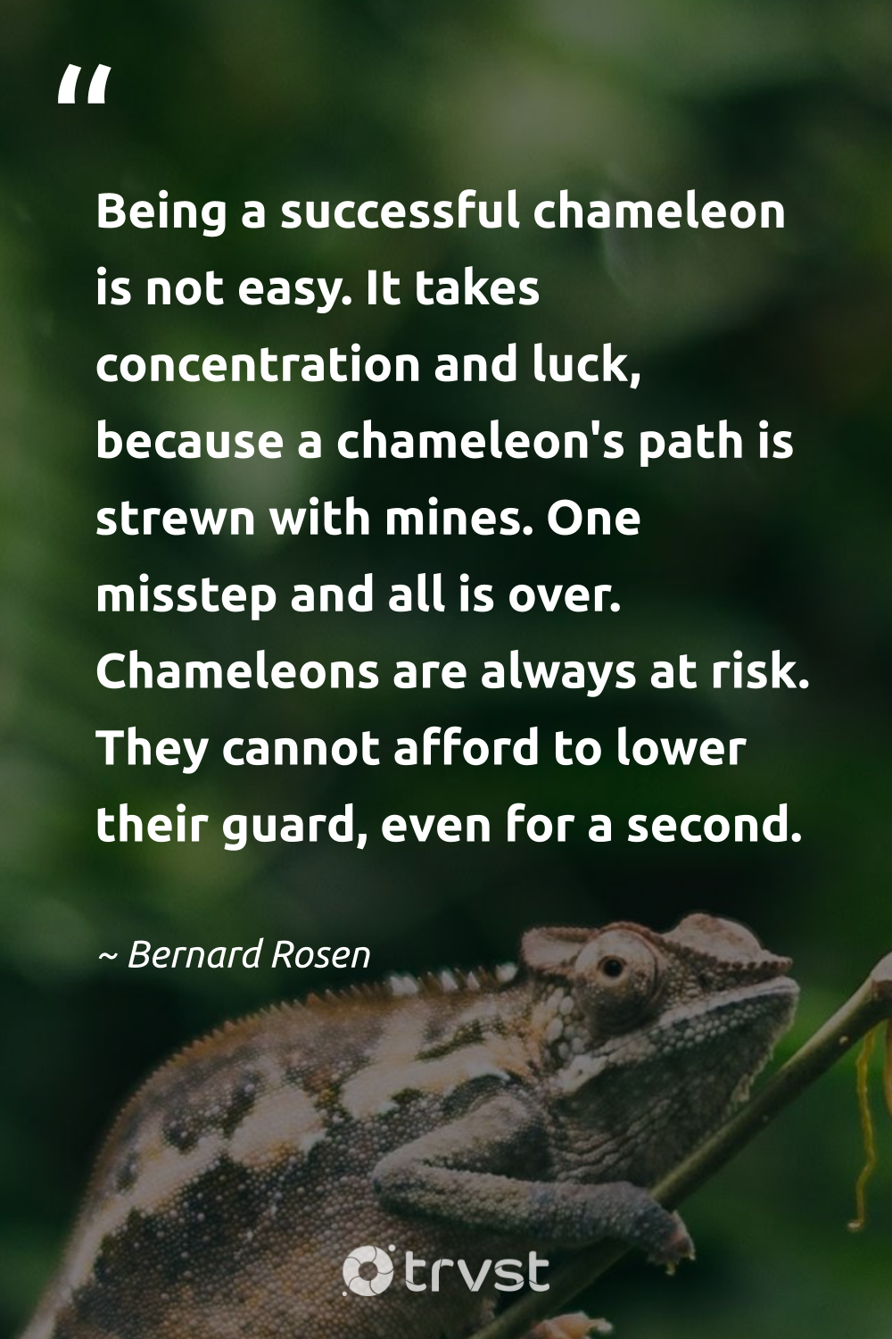 23 Chameleon Quotes Camouflaging Wisdom