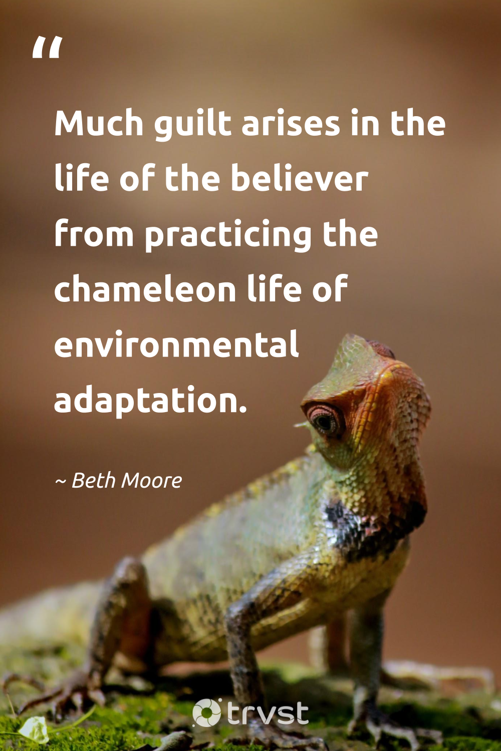 23 Chameleon Quotes Camouflaging Wisdom