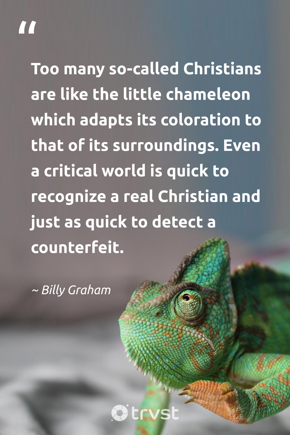 23 Chameleon Quotes Camouflaging Wisdom