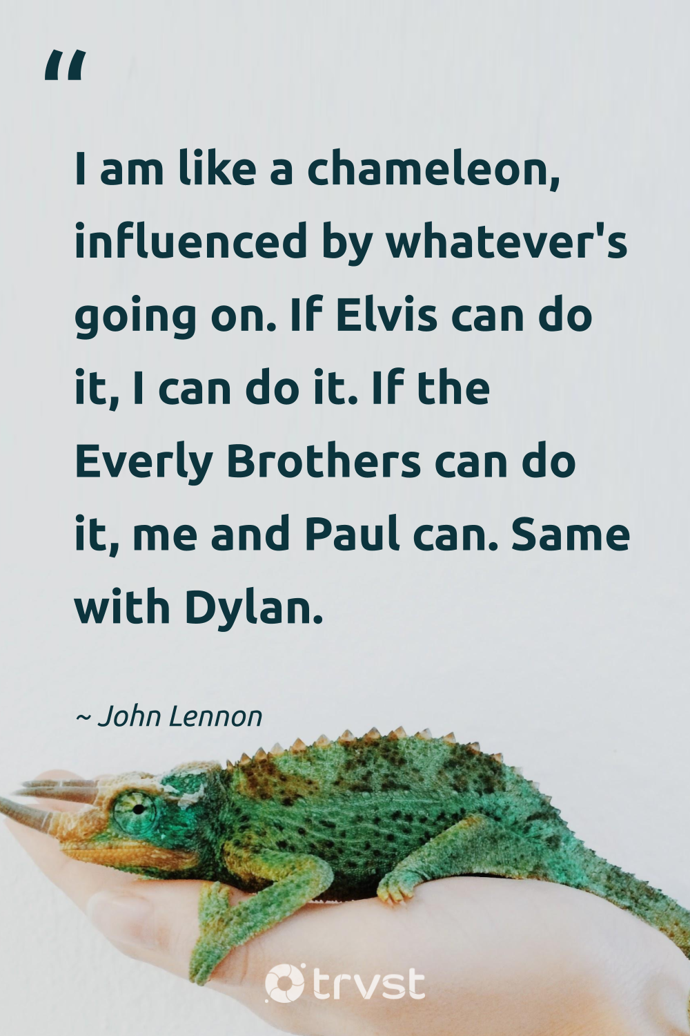 23 Chameleon Quotes Camouflaging Wisdom