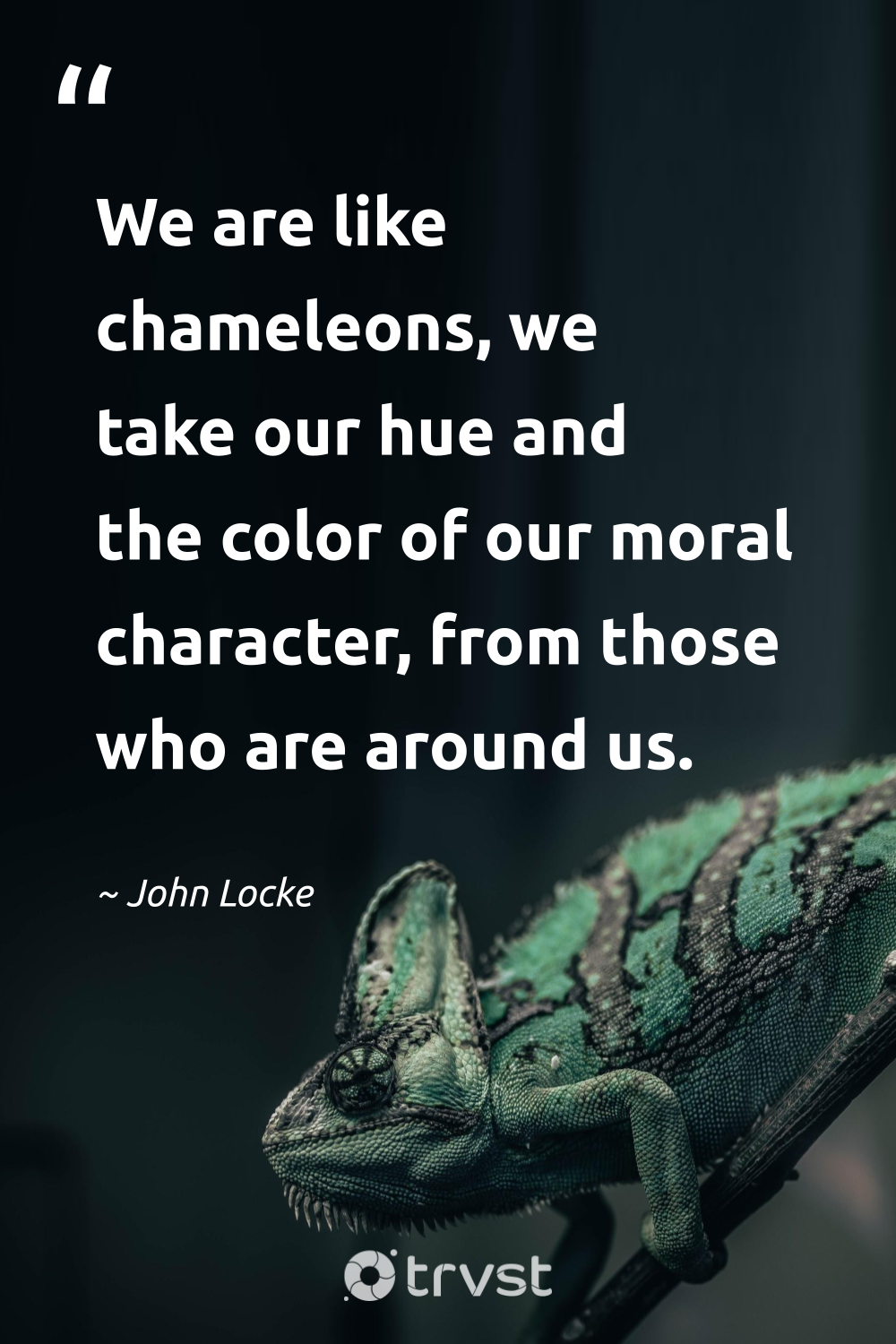 23 Chameleon Quotes Camouflaging Wisdom