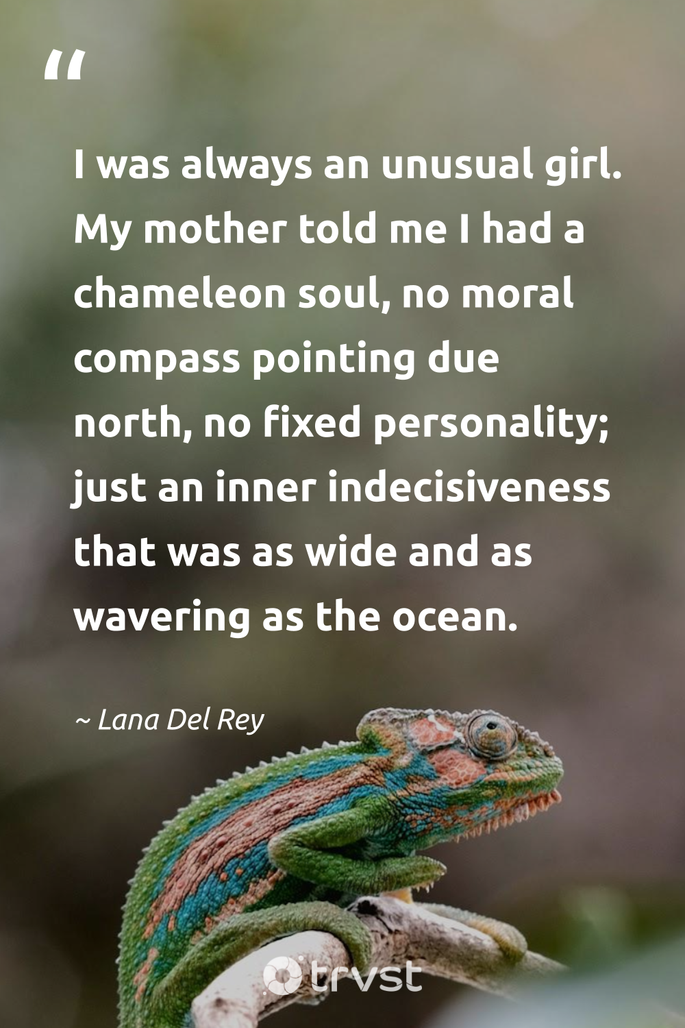 23 Chameleon Quotes Camouflaging Wisdom