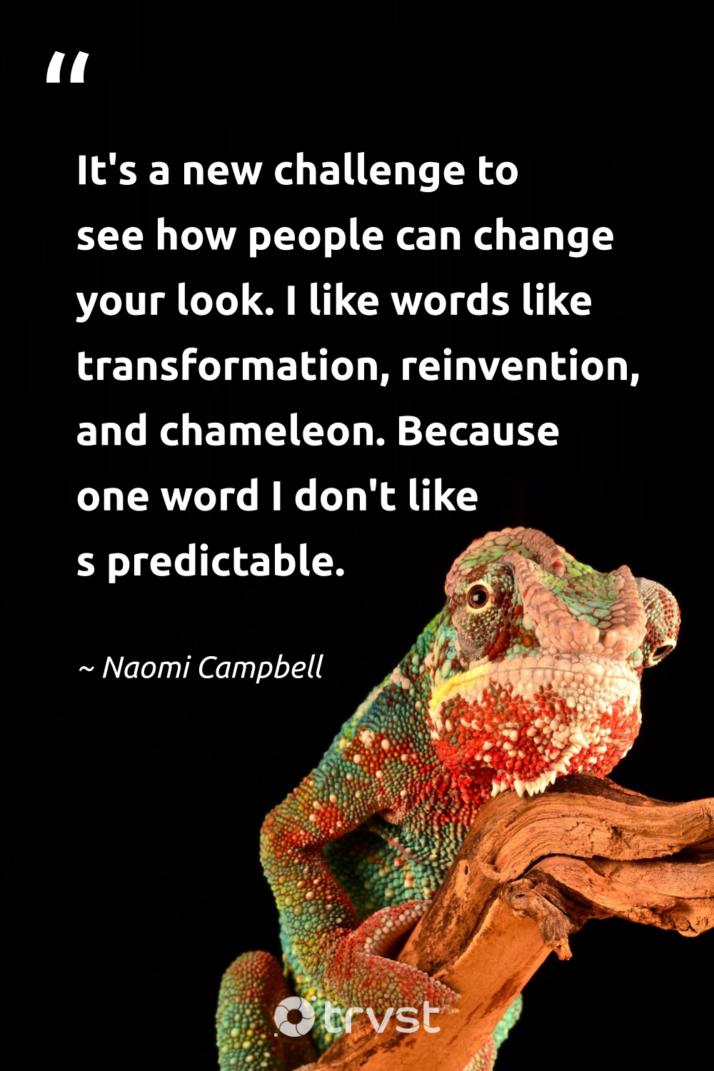 23 Chameleon Quotes Camouflaging Wisdom