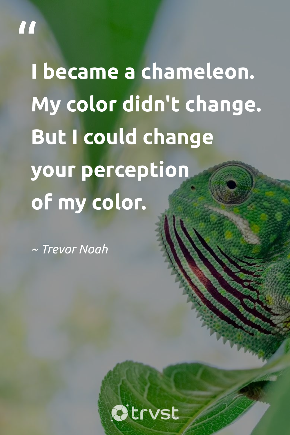 23 Chameleon Quotes Camouflaging Wisdom