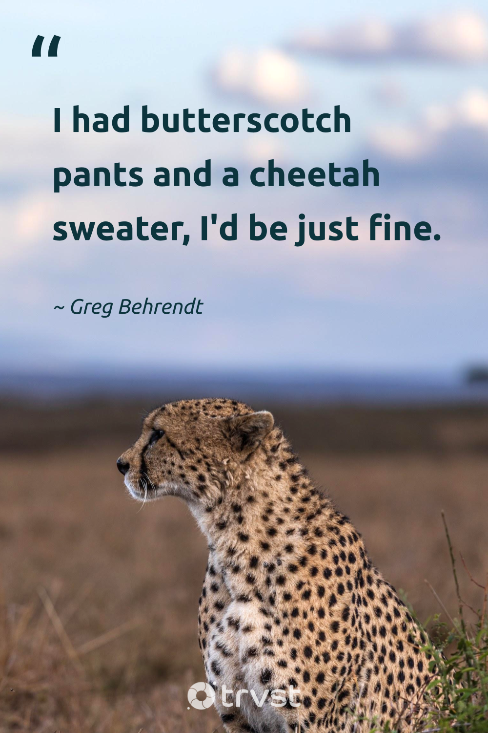 25 Cheetah Quotes to Inspire Agility and Adaptability