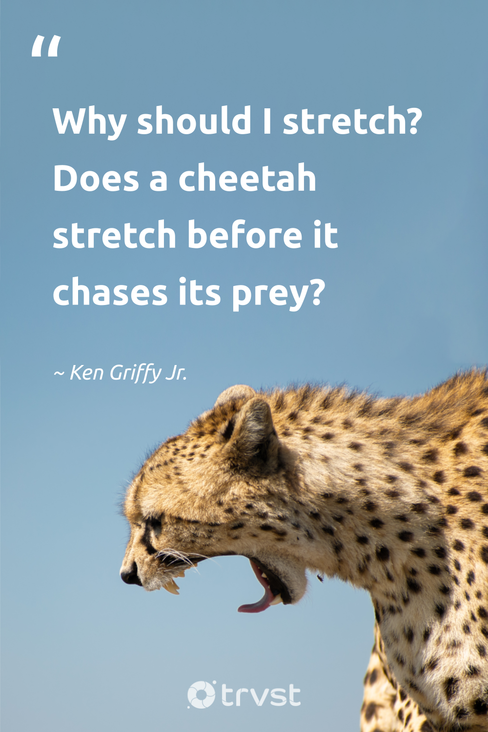25 Cheetah Quotes to Inspire Agility and Adaptability