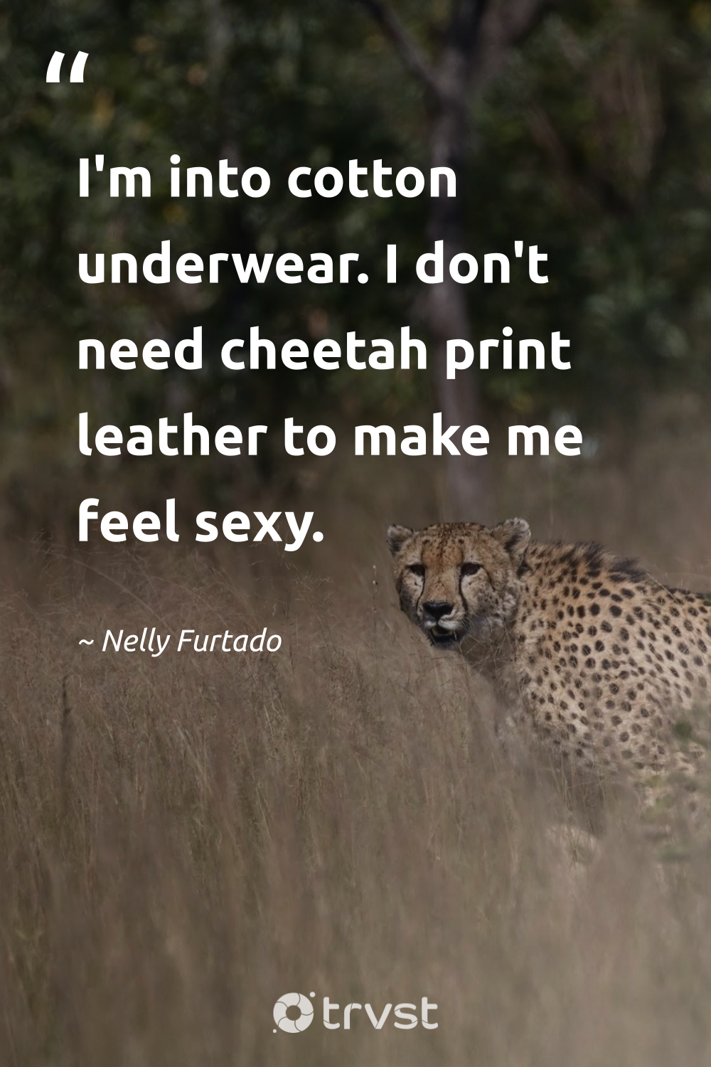 25 Cheetah Quotes to Inspire Agility and Adaptability