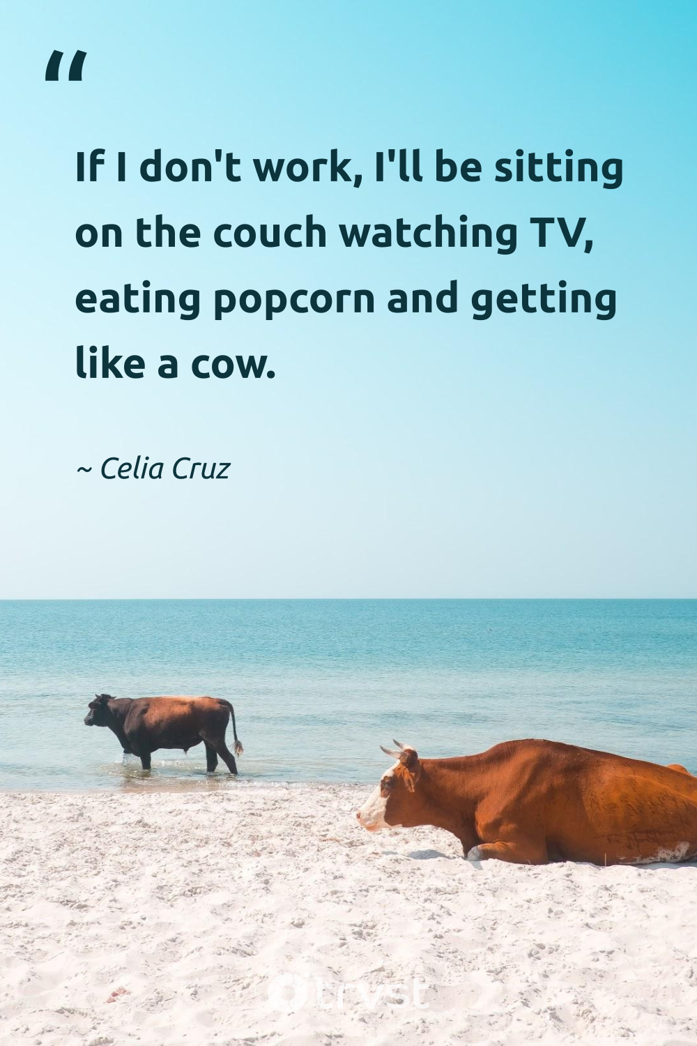 40 Cow Quotes about the Gentle Bovines (2025)