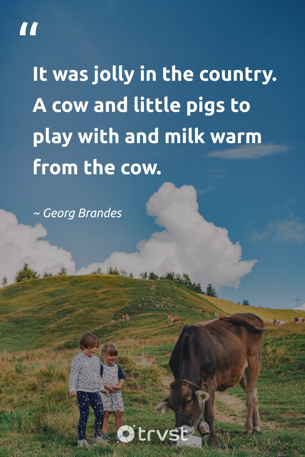 40 Cow Quotes about the Gentle Bovines (2025)