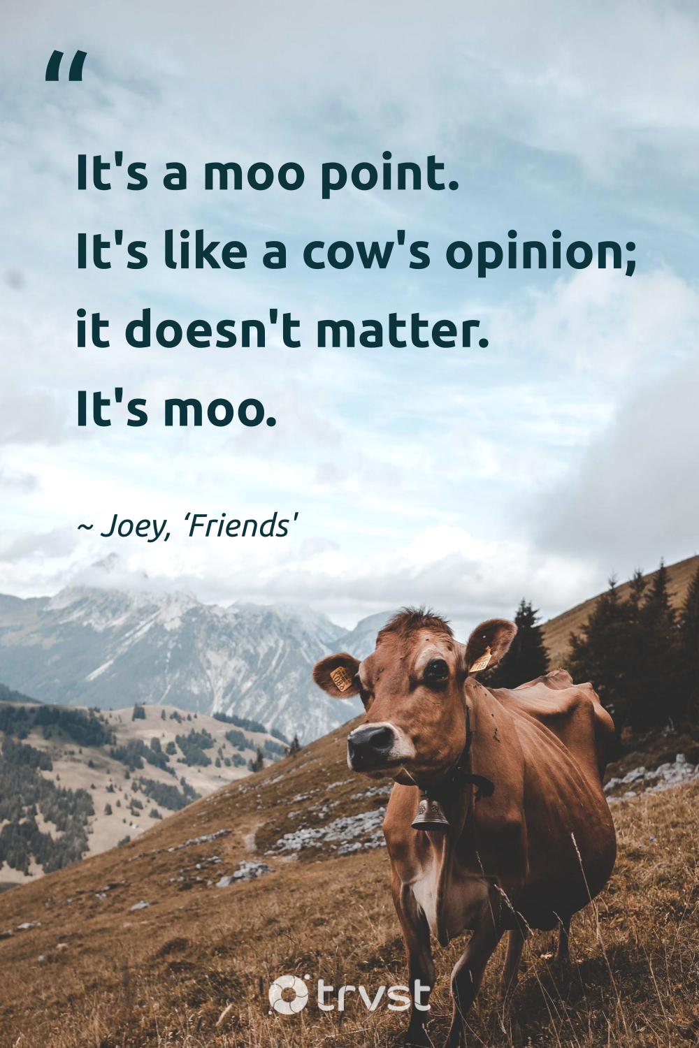 40 Cow Quotes about the Gentle Bovines (2024)
