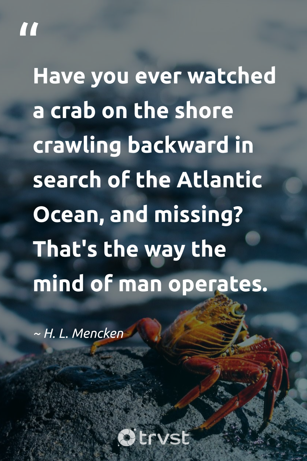 25 Crab Quotes Full Of Crustacean Wisdom