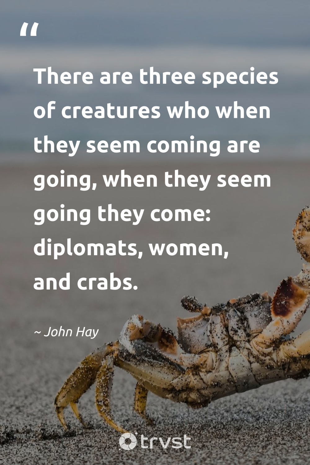 25 Crab Quotes Full Of Crustacean Wisdom