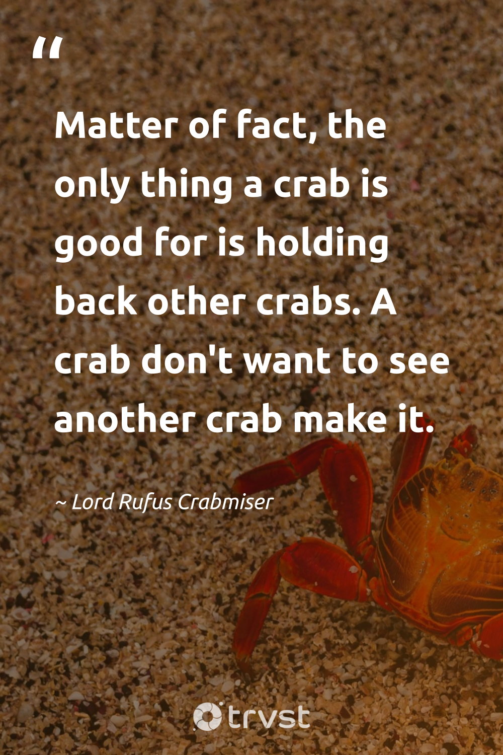 25 Crab Quotes Full Of Crustacean Wisdom