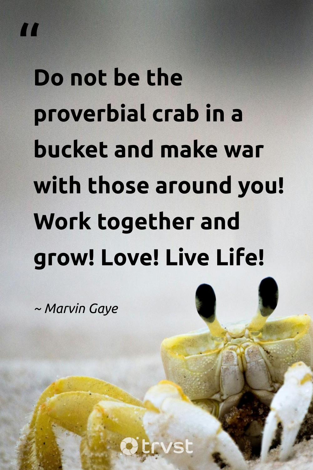 25 Crab Quotes Full Of Crustacean Wisdom
