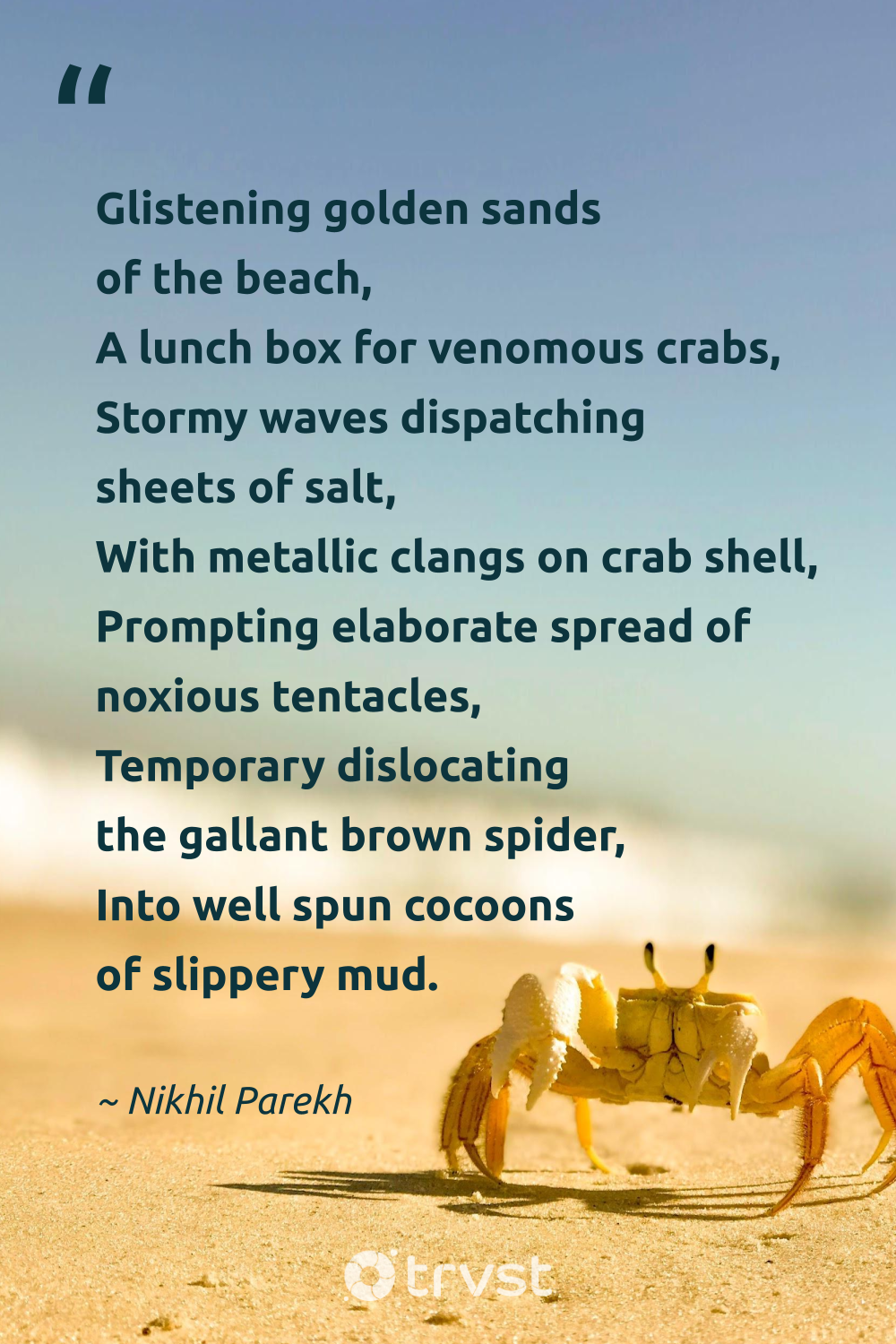 25 Crab Quotes Full Of Crustacean Wisdom