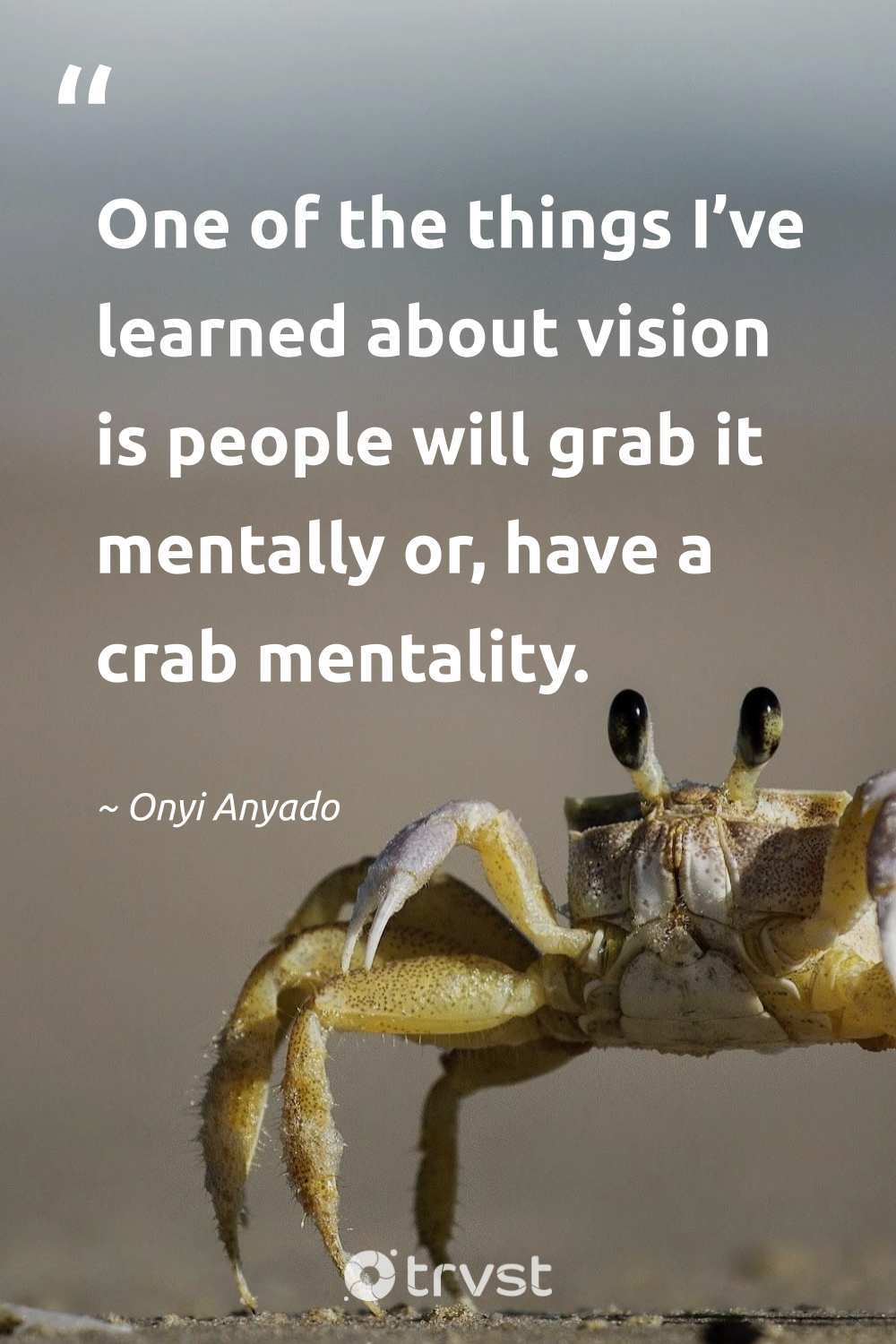 25 Crab Quotes Full Of Crustacean Wisdom