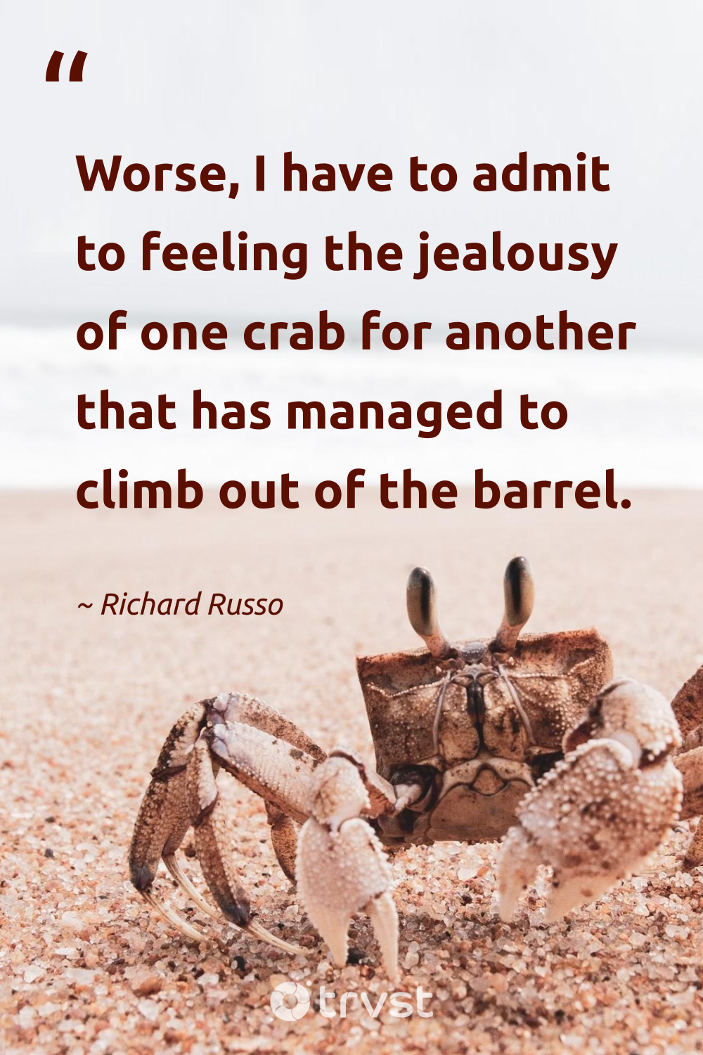 25 Crab Quotes Full Of Crustacean Wisdom