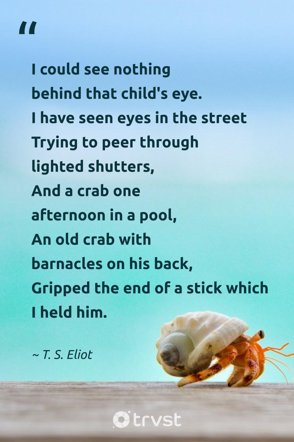 25 Crab Quotes Full Of Crustacean Wisdom