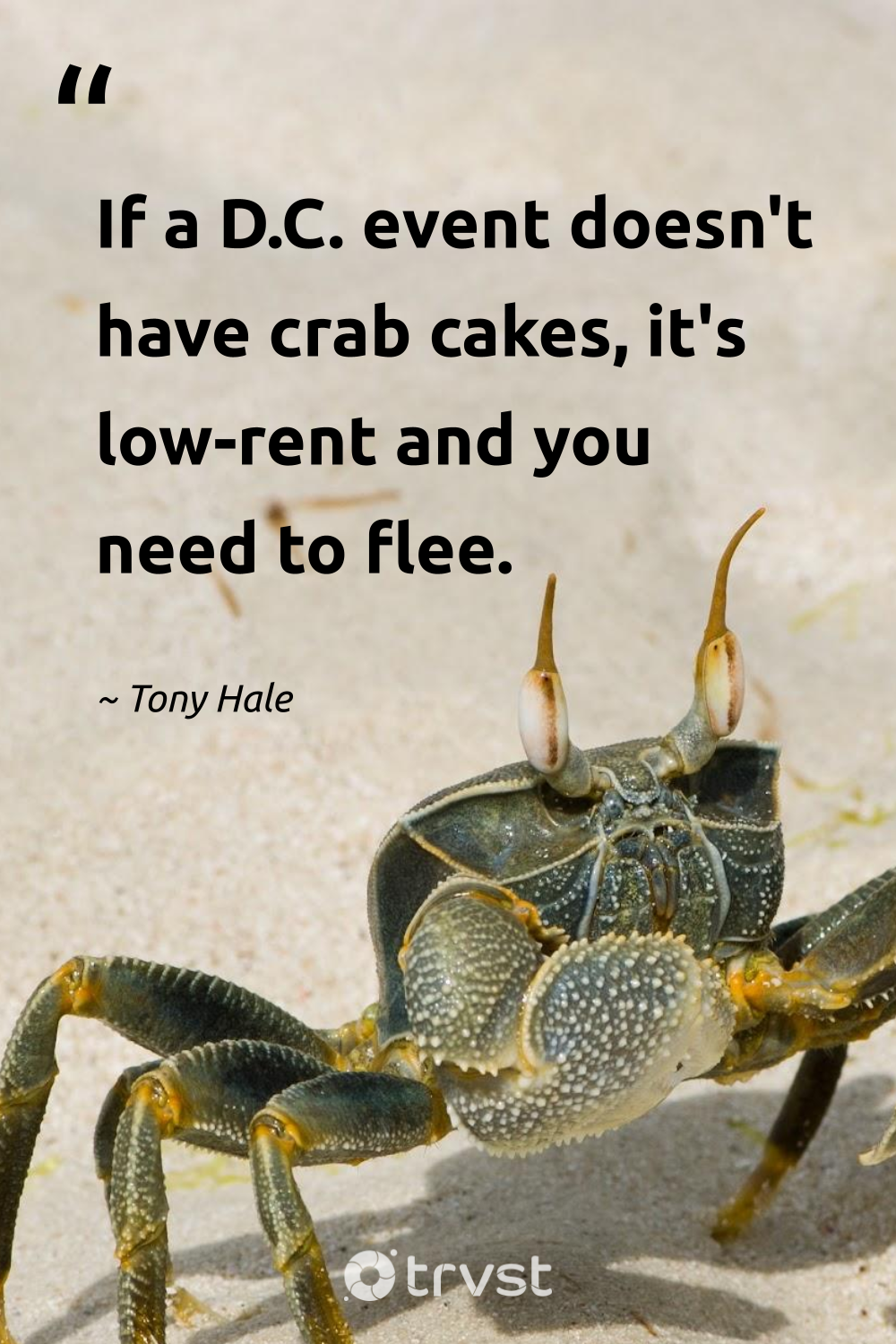 25 Crab Quotes Full Of Crustacean Wisdom