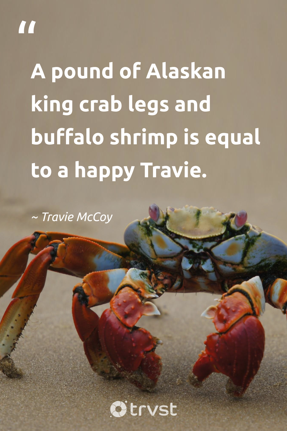 25 Crab Quotes Full Of Crustacean Wisdom