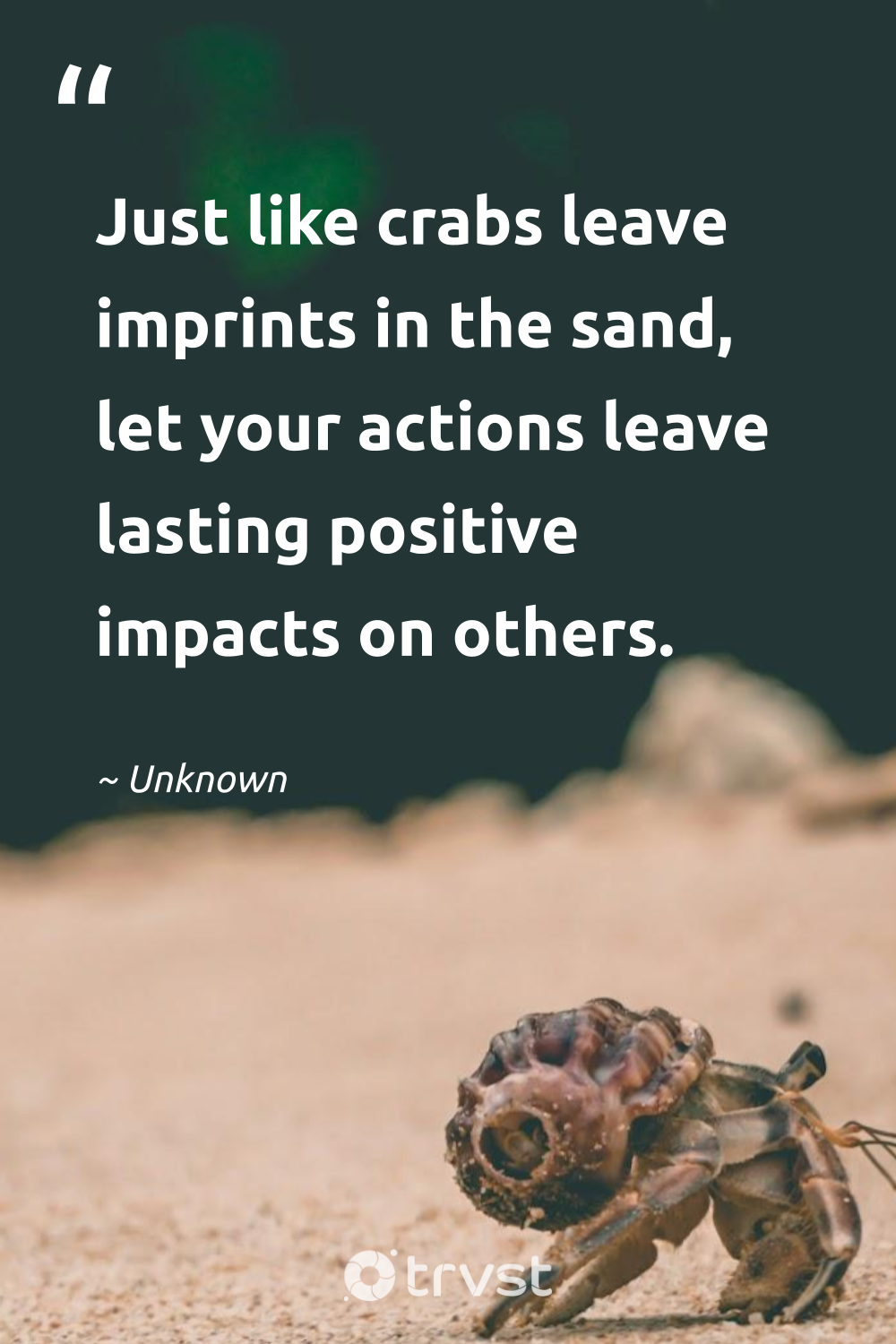 25 Crab Quotes Full Of Crustacean Wisdom