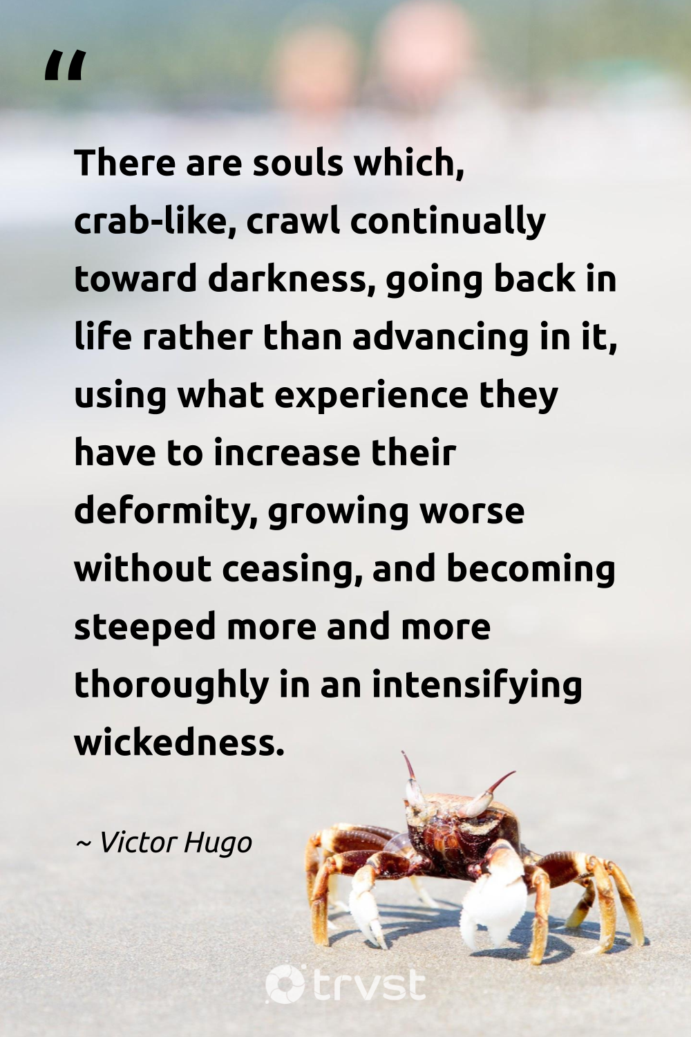 25 Crab Quotes Full Of Crustacean Wisdom