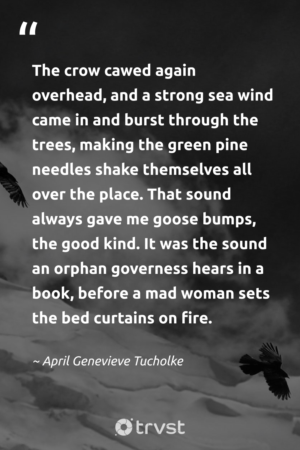 40 Crow Quotes & Sayings About The Misunderstood Birds (2025)