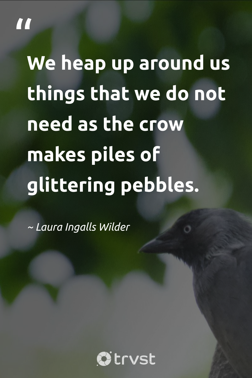 40 Crow Quotes & Sayings About The Misunderstood Birds (2024)