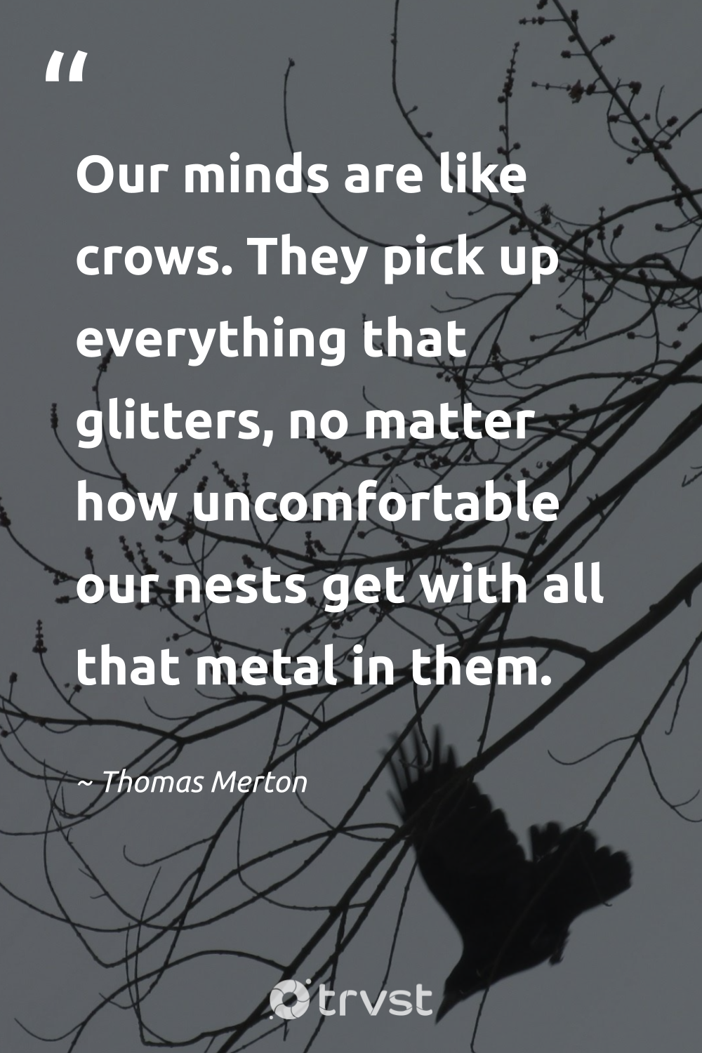 40 Crow Quotes & Sayings About The Misunderstood Birds (2024)