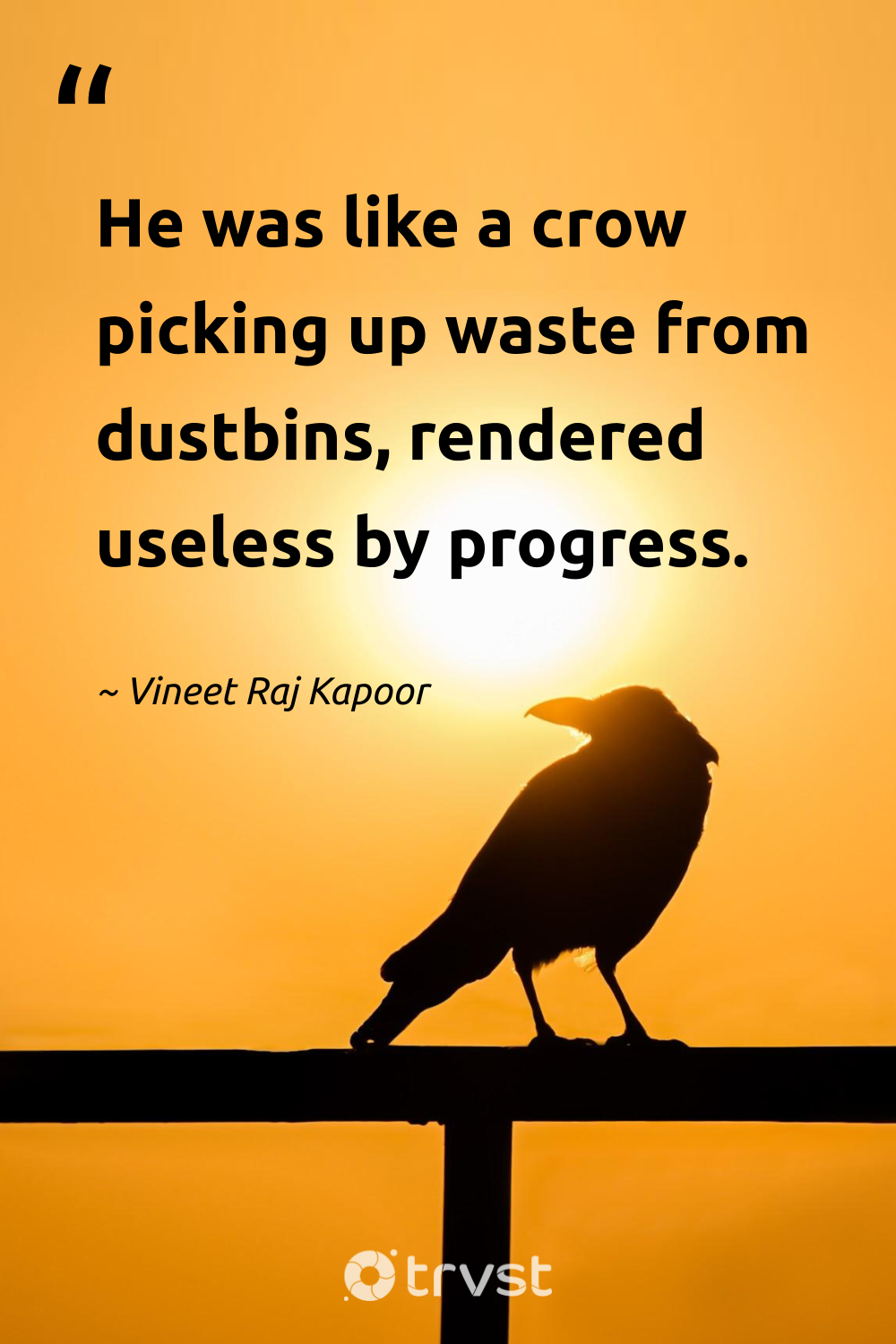 40 Crow Quotes & Sayings About The Misunderstood Birds (2024)