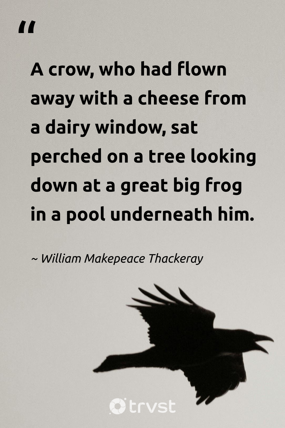 40 Crow Quotes & Sayings About The Misunderstood Birds (2025)