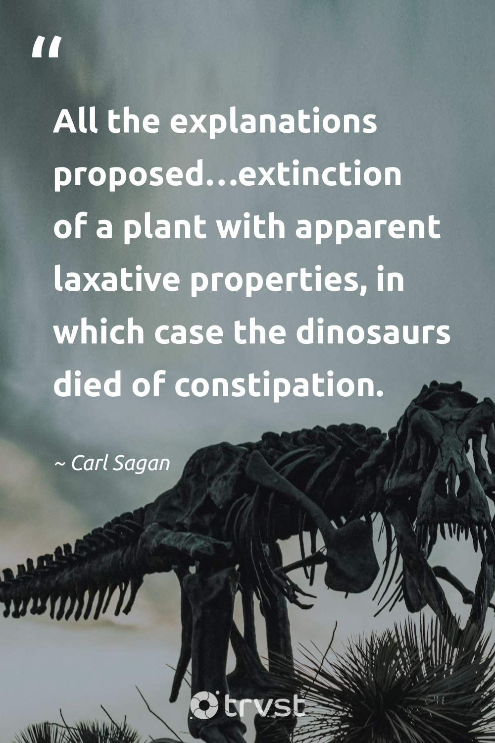 41 Dinosaur Quotes about The Terrible Lizards of The Past