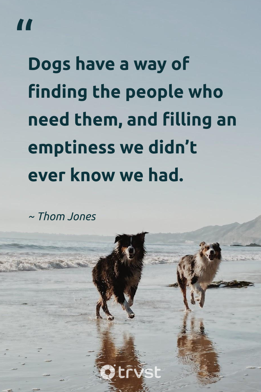 71 Dog Quotes About Our Beloved Best Friends (2025)